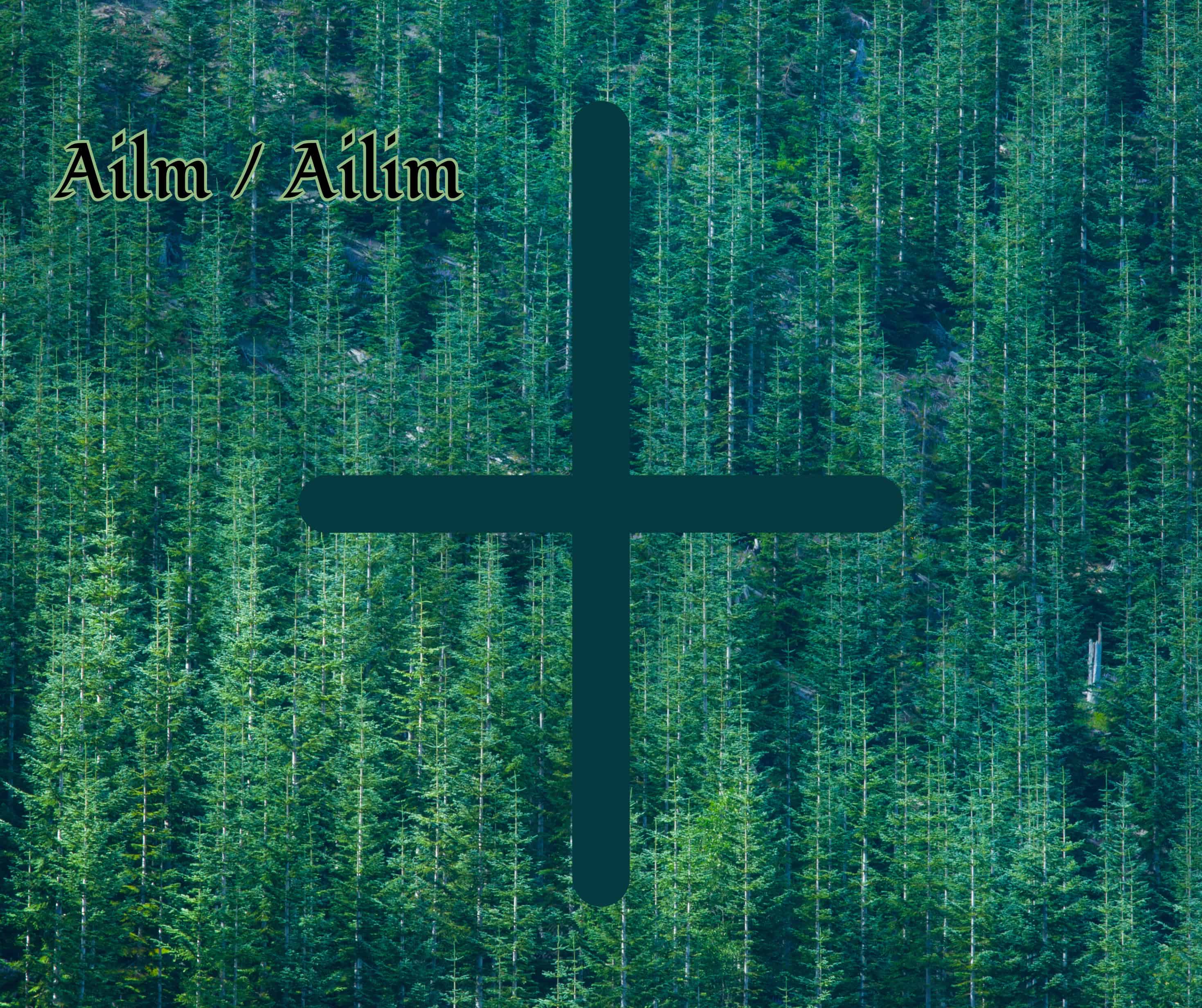 Celtic Ogham Divination - The Practitioner's Handbook
