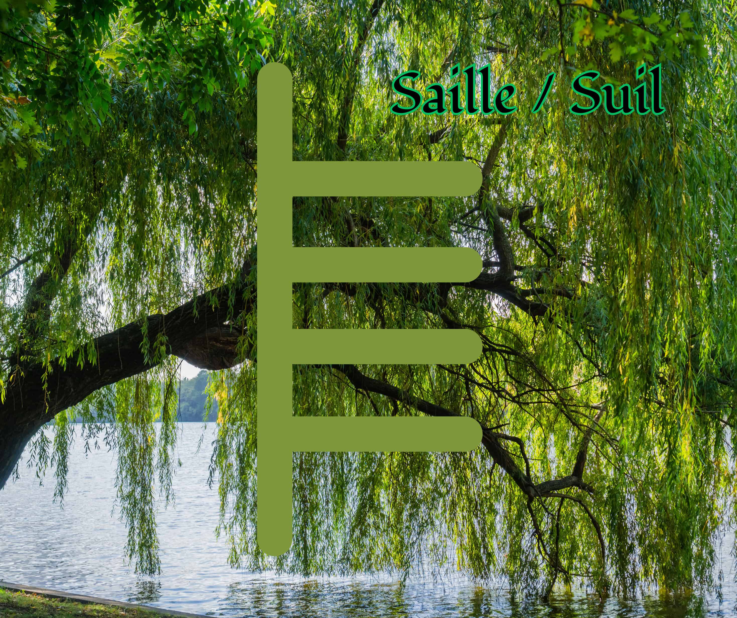 Celtic Ogham Divination - The Practitioner's Handbook